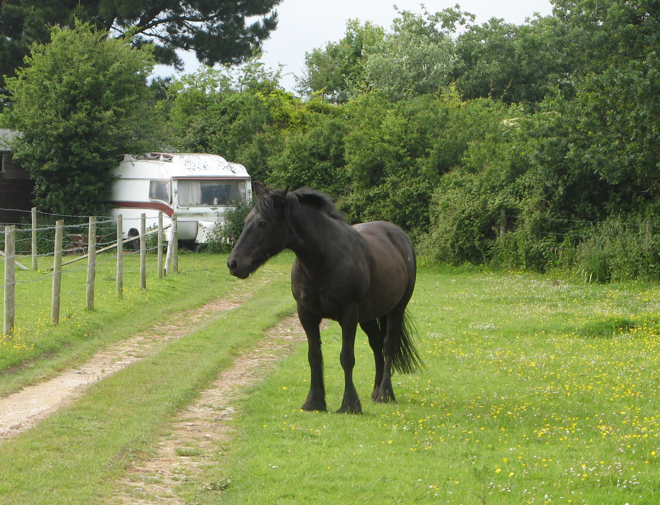 Isle of Wight – The Other Side of Uffa Fox – jantomsbriefbiographies